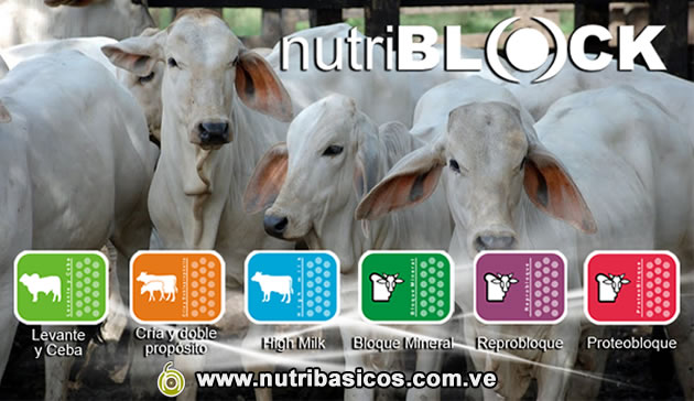 Nutribasicos de Venezuela, C.A. - NUTRIBLOCK Bloques Multinutricionales